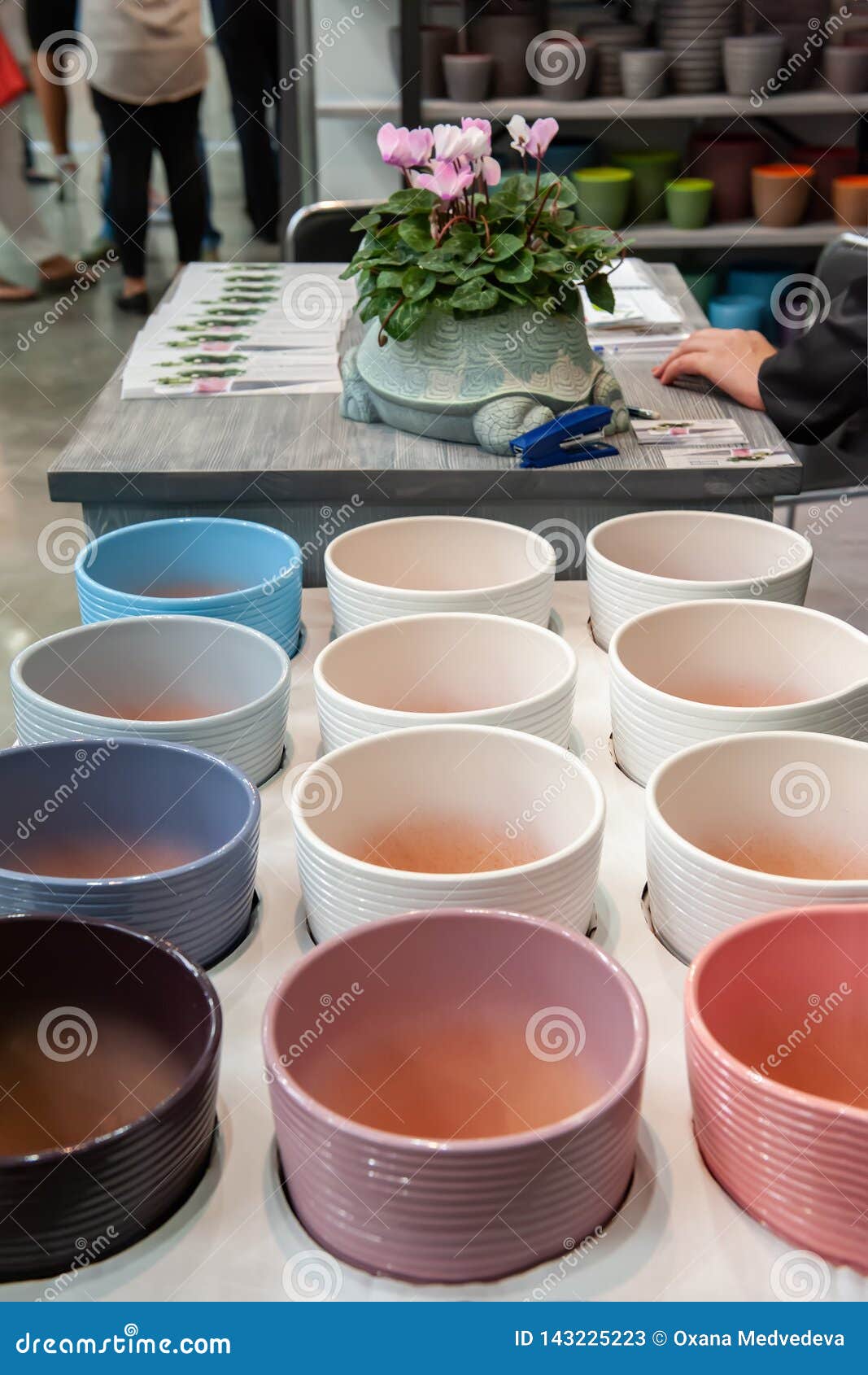 Flower Pots on the Shelf in a Large Store. Flower Warehouse Stock Image ...