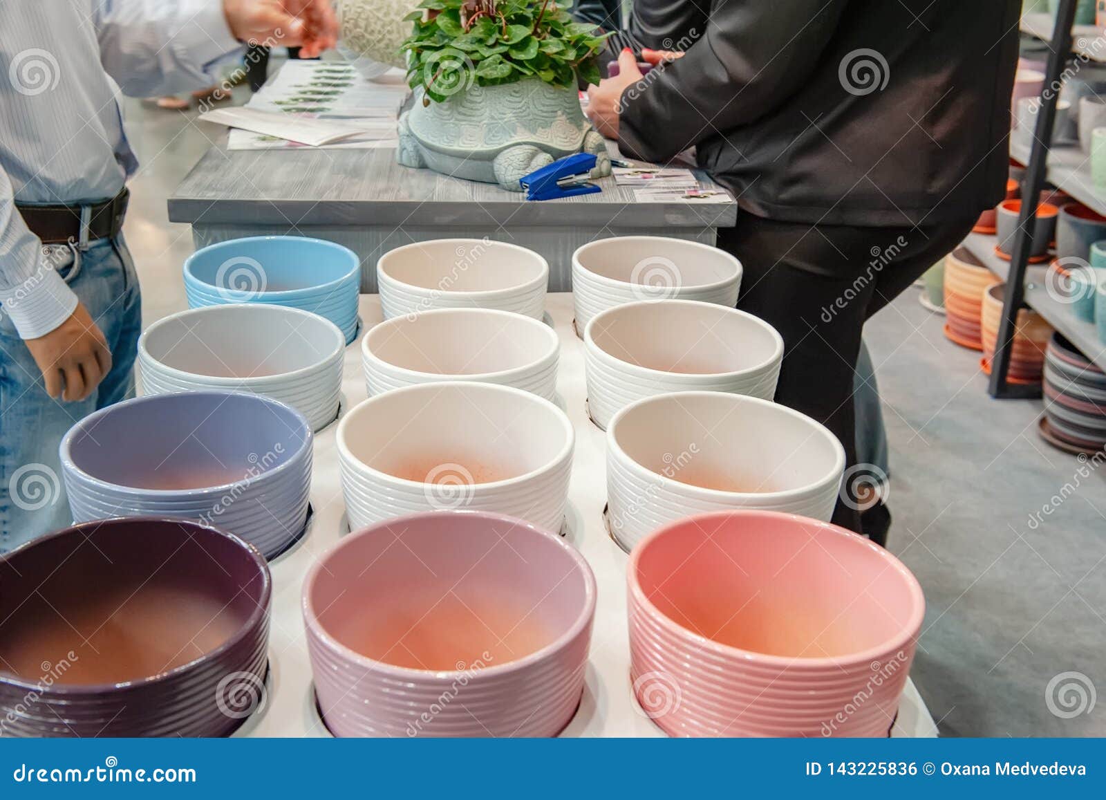 Flower Pots on the Shelf in a Large Store. Flower Warehouse Stock Photo ...