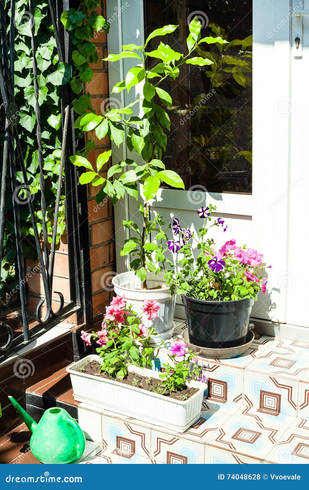 Flower Pots on the Steps of the Porch Stock Photo - Image of outdoor ...