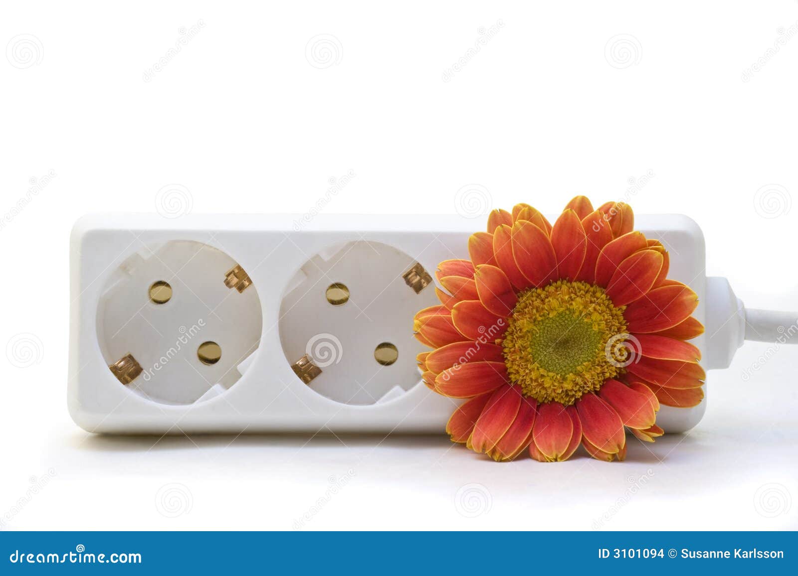 Flower power stock photo. Image of energy, line, insert - 3101094
