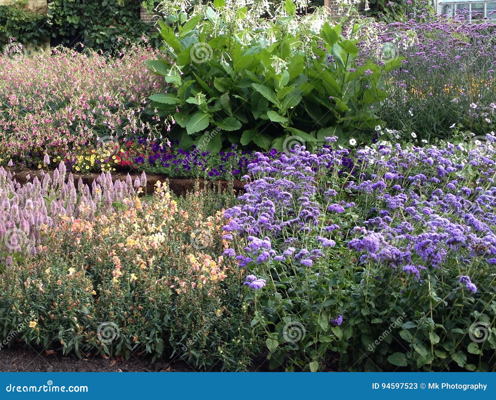 Flower power imagen de archivo. Imagen de flor, palma - 94597523