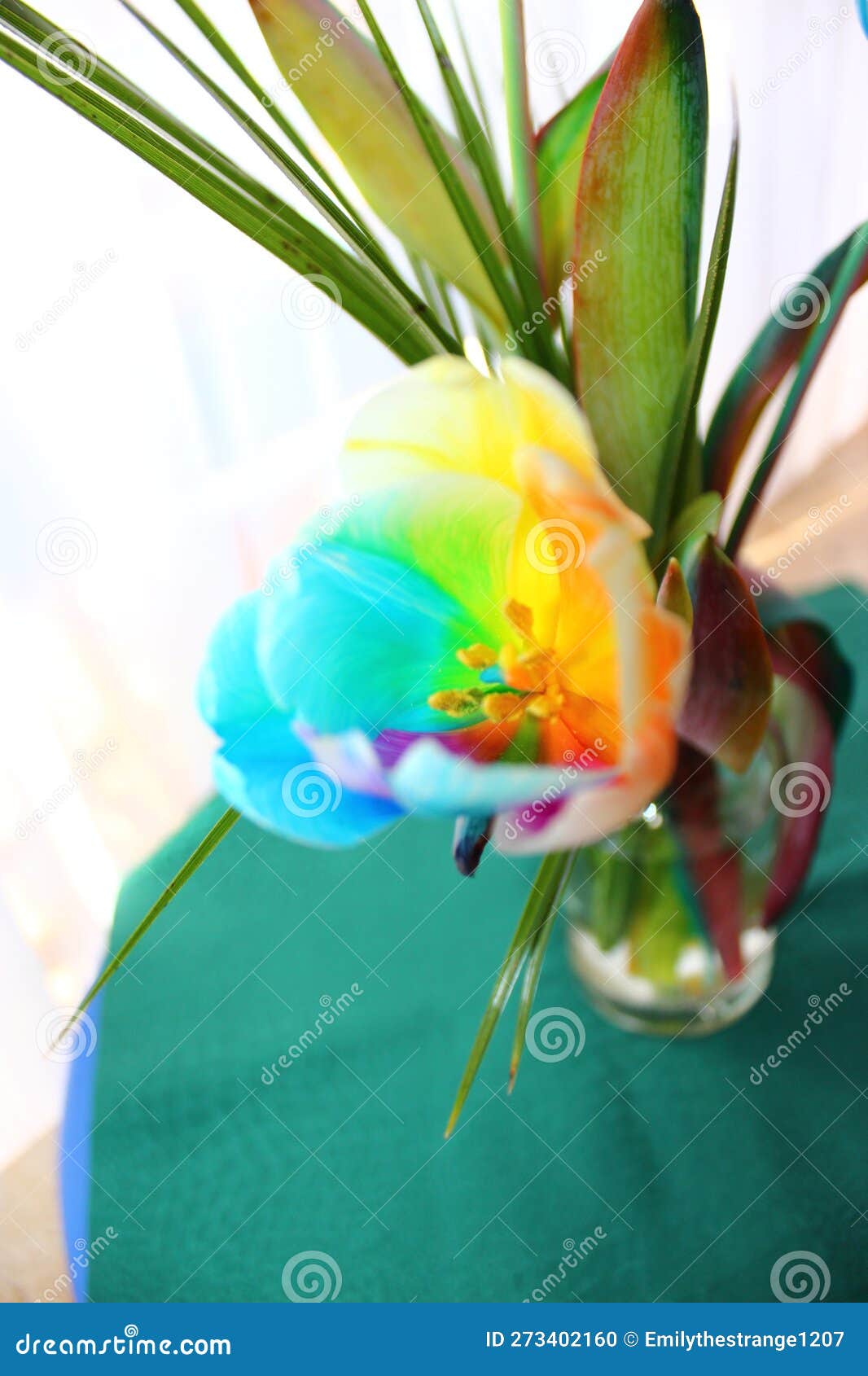 Flower Power of Colors Genetisch Prepariert Editorial Image - Image of ...
