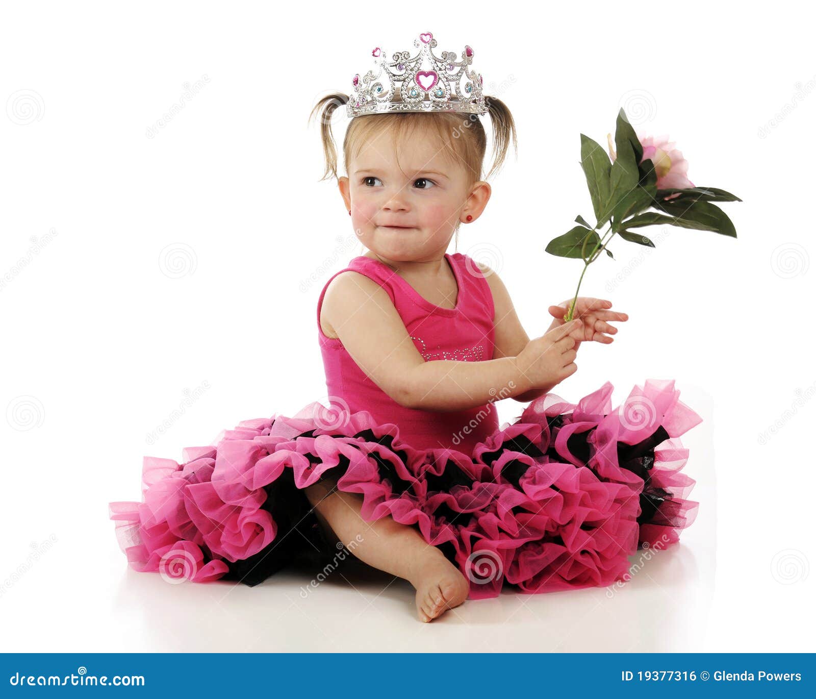 Flower Princess stock photo. Image of silver, child, dress - 19377316