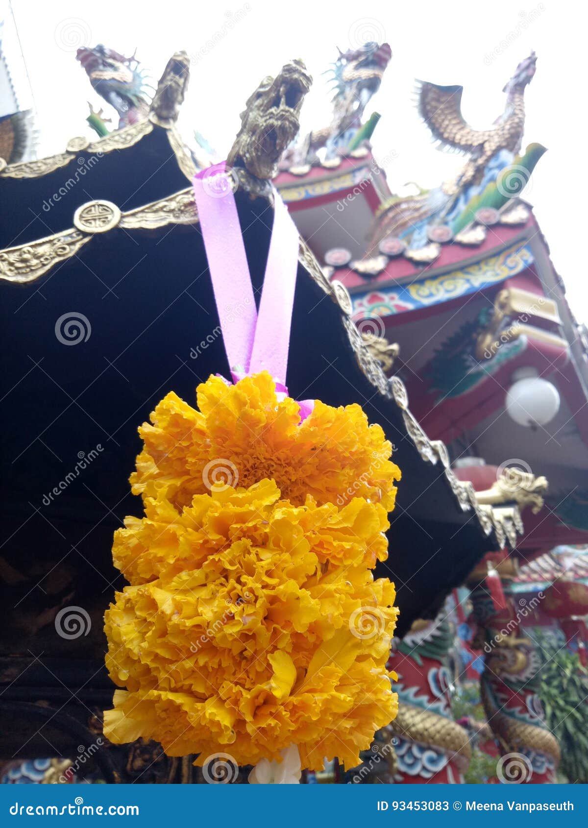 Flower in the rain stock image. Image of rain, temple - 93453083