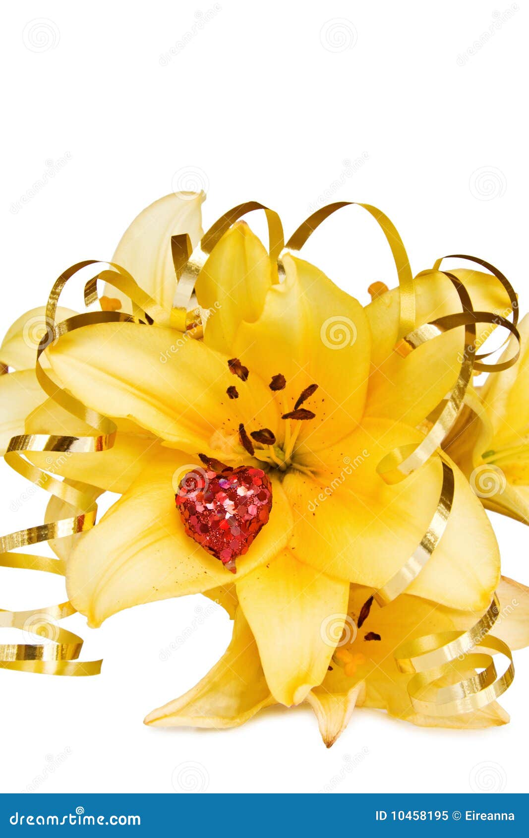 Flower and red heart stock image. Image of white, present - 10458195