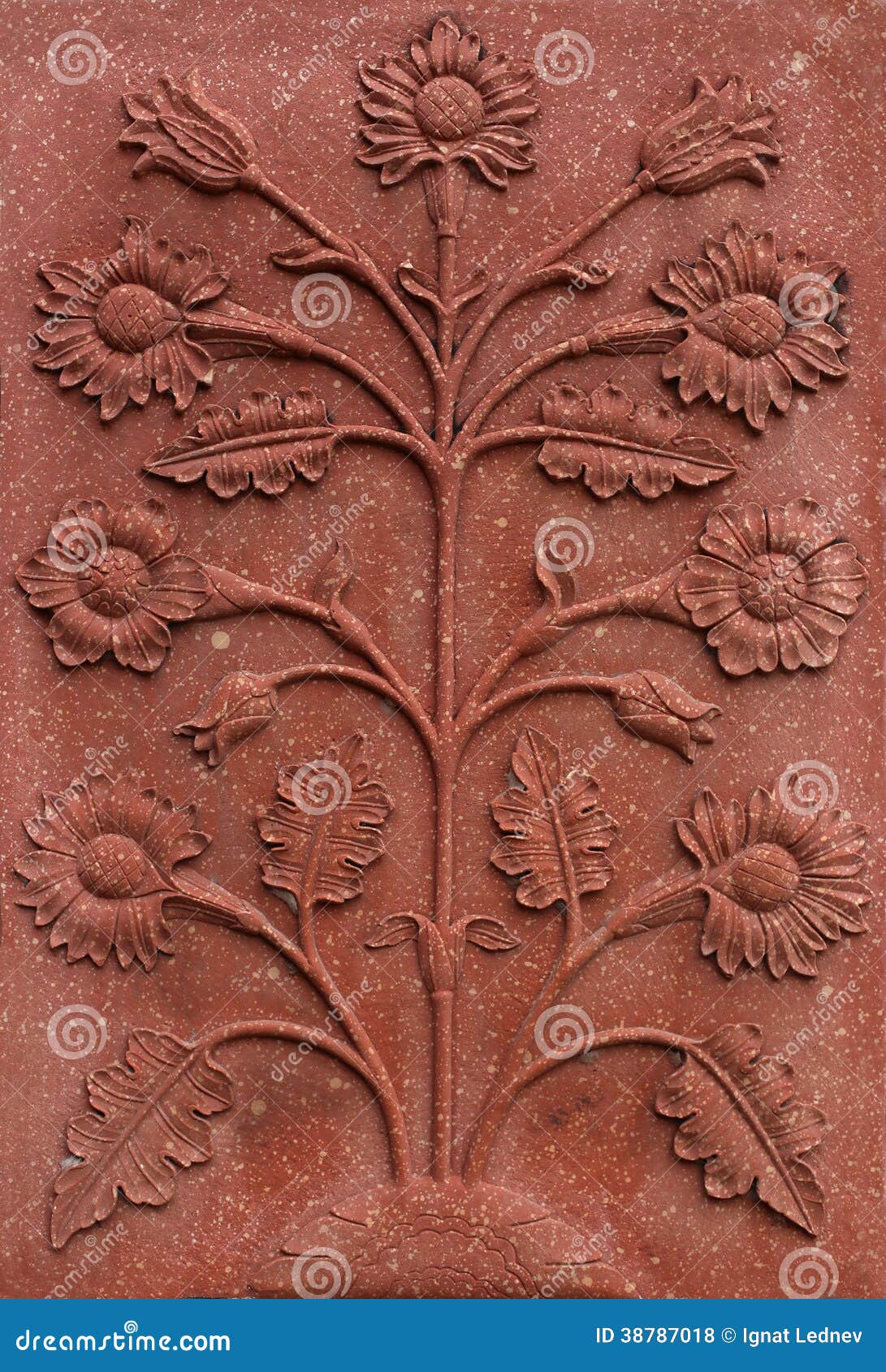 Flower relief stock photo. Image of culture, ornamental - 38787018