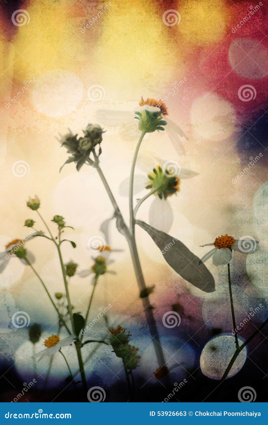 Flower on Retro Background stock image. Image of round - 53926663