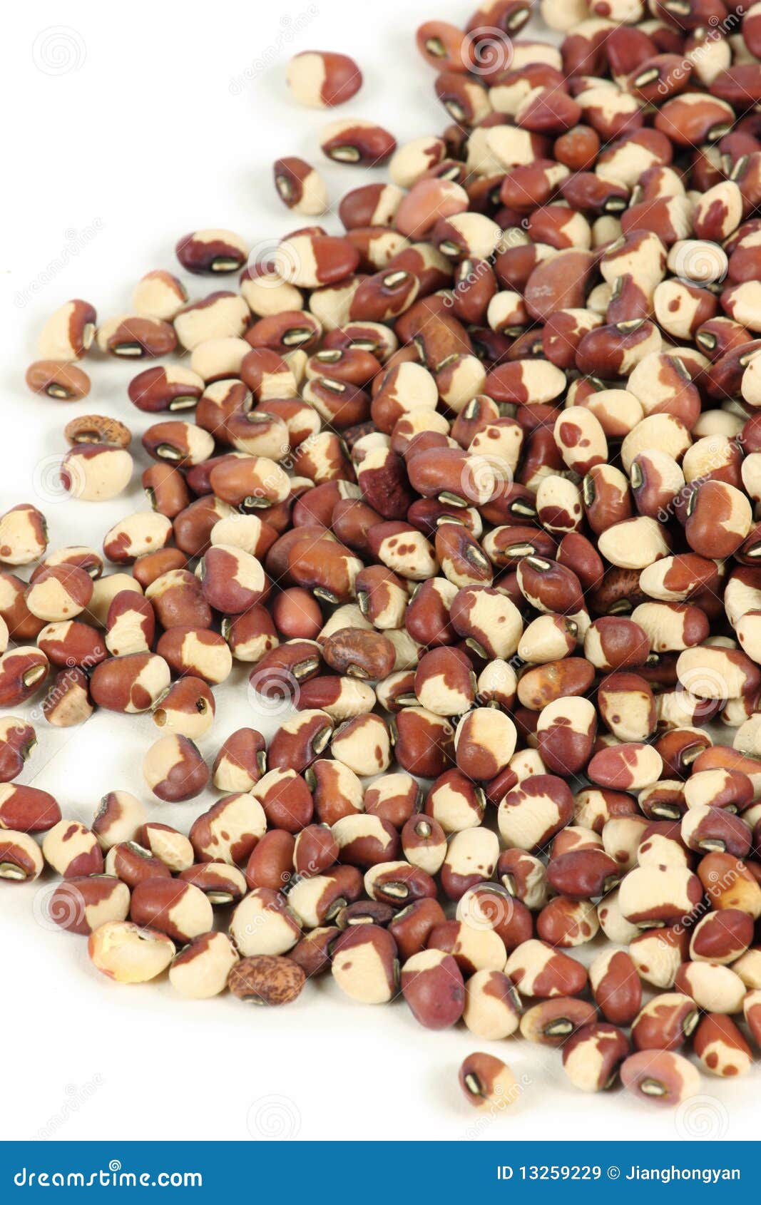 Flower rice bean stock image. Image of abstract, small - 13259229