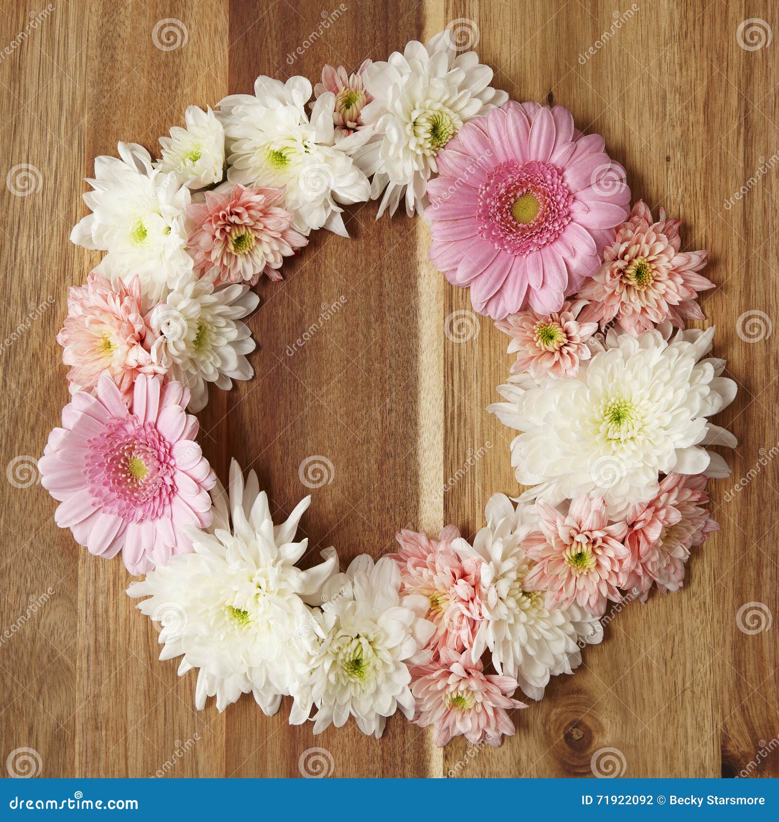 Flower ring stock photo. Image of circle, petal, wedding - 71922092