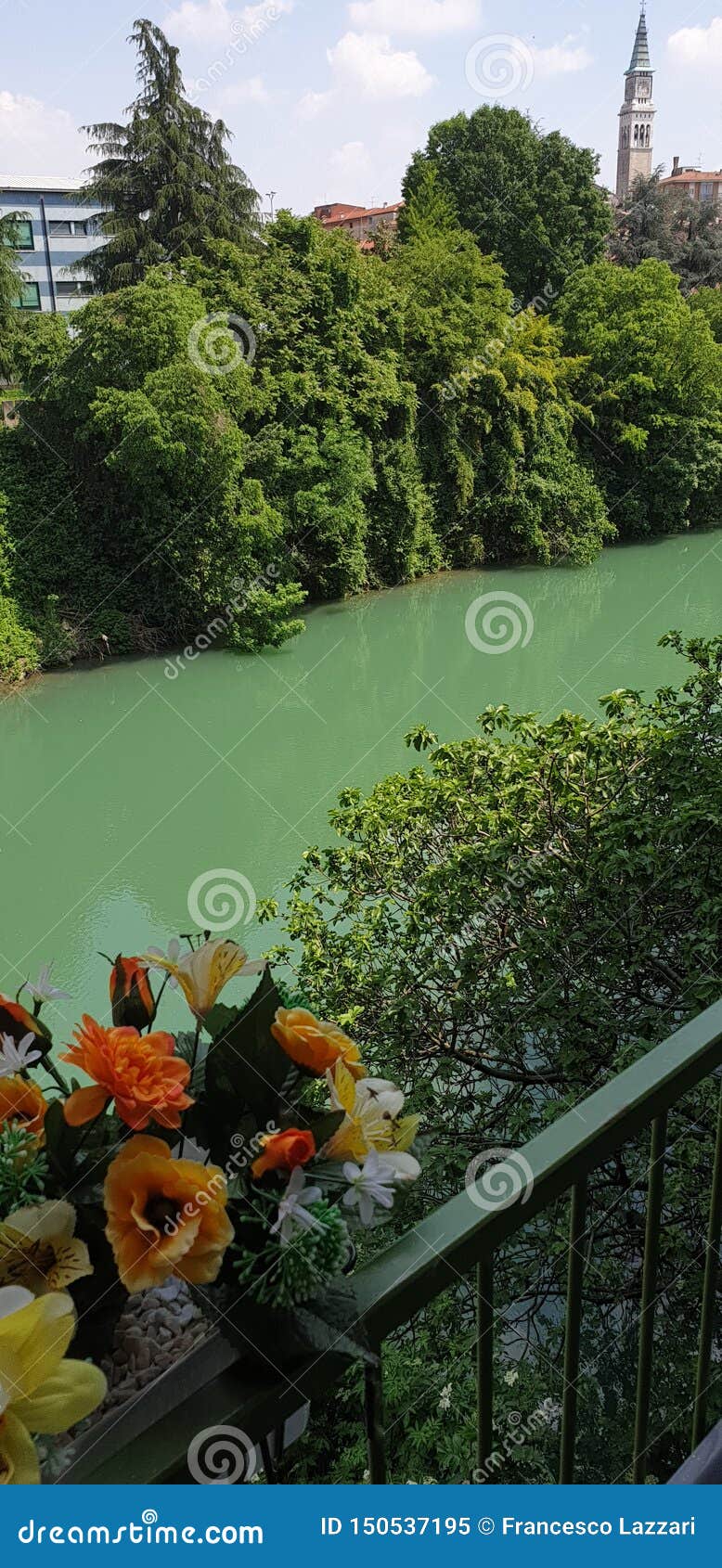Flower Rio Green Three Italy Stock Image - Image of flower, italy ...