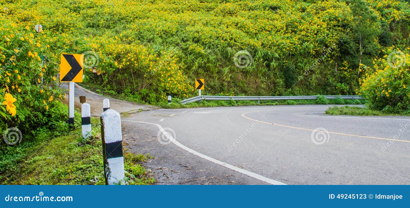 Flower road stock image. Image of lonely, concrete, maehongson - 49245123