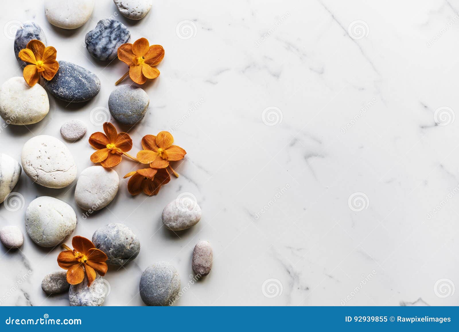 Flower Rock Healthy Aroma Balance Tranquility Stock Image - Image of ...