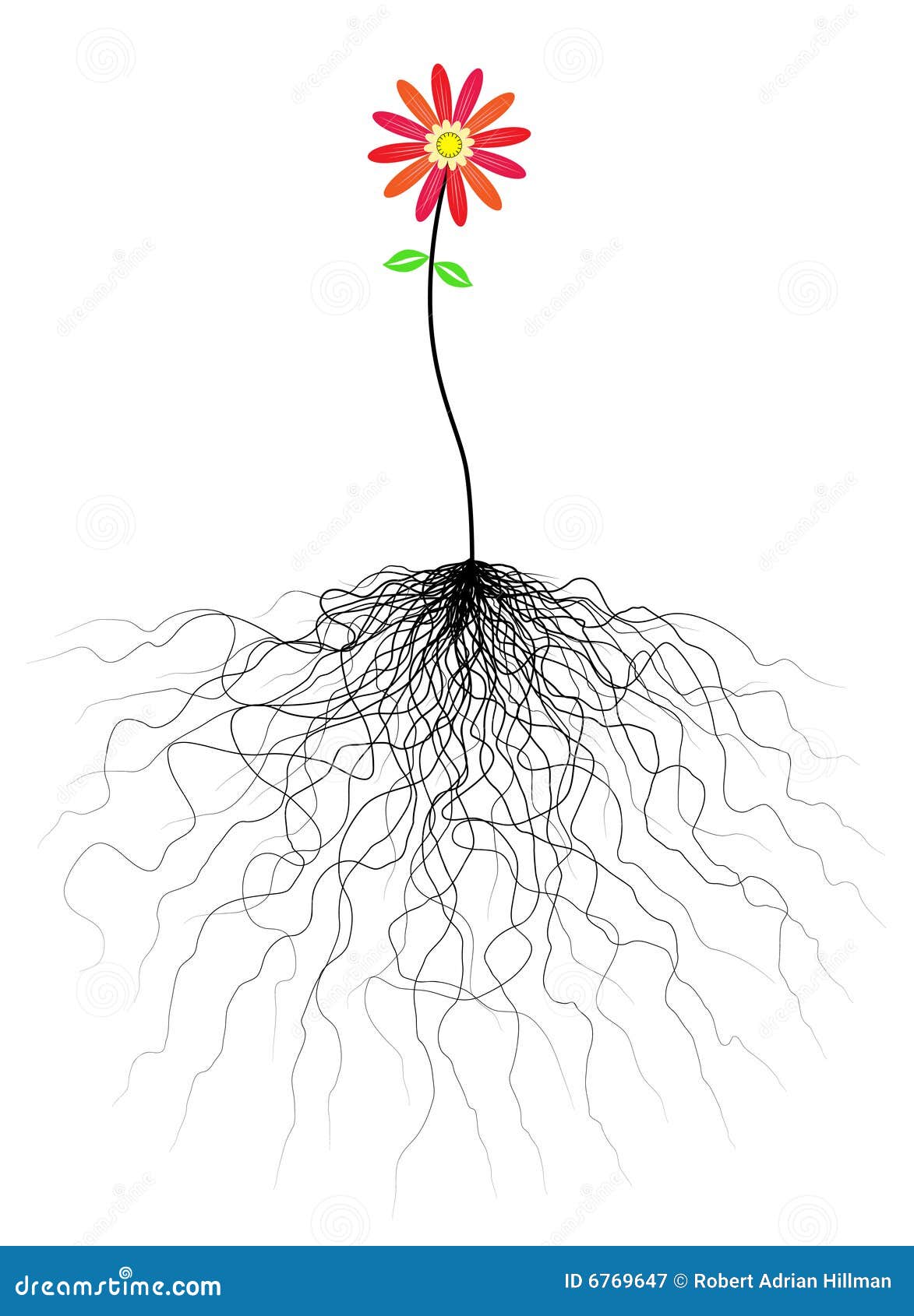 Flower and roots stock vector. Illustration of underground - 6769647