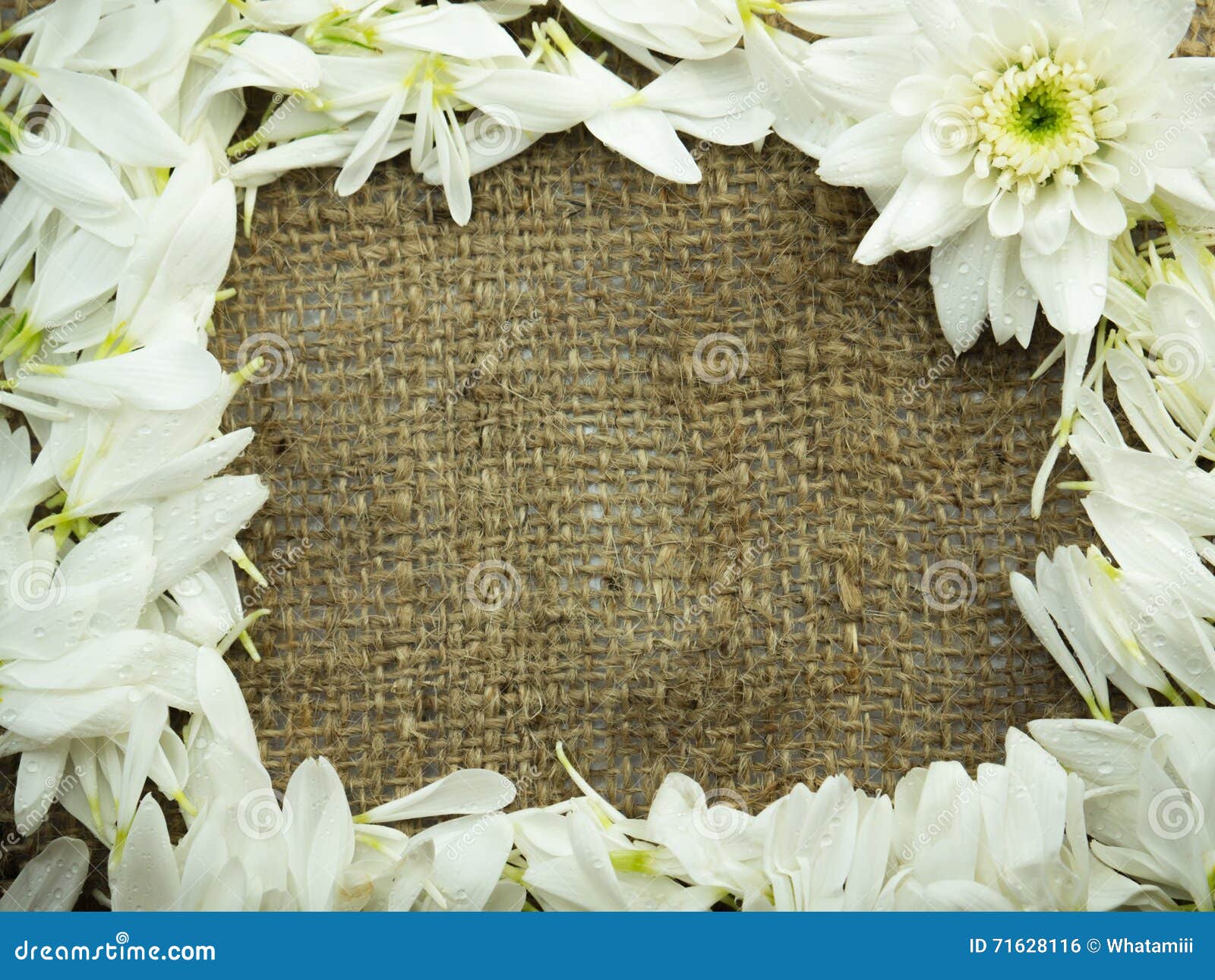 Flower on Sack Frame Background Stock Photo - Image of book, wedding ...
