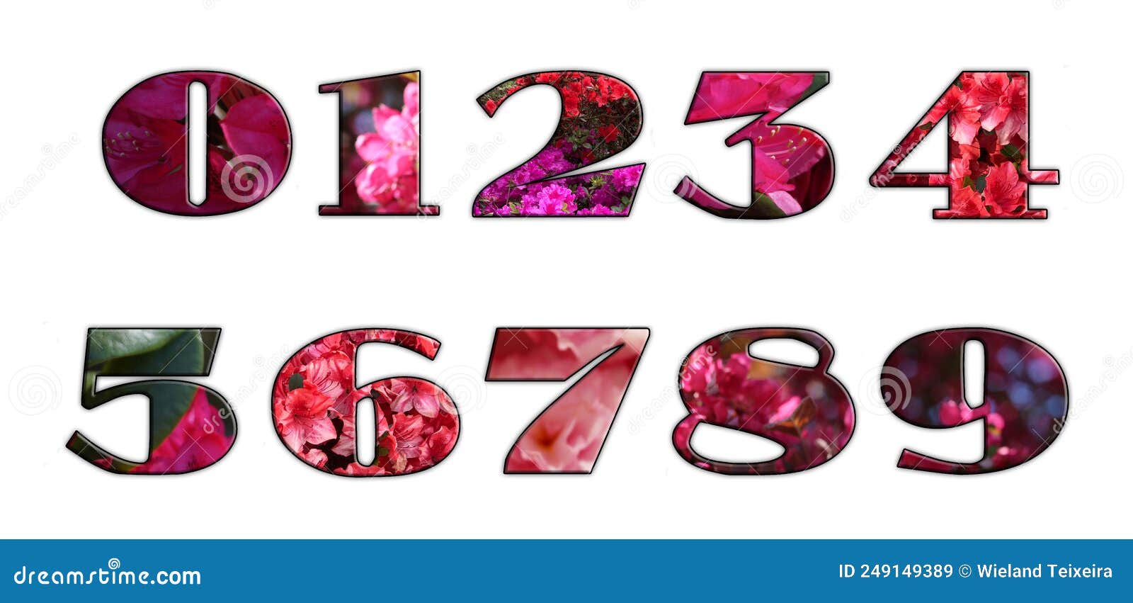 Flower script digits stock illustration. Illustration of fresh - 249149389