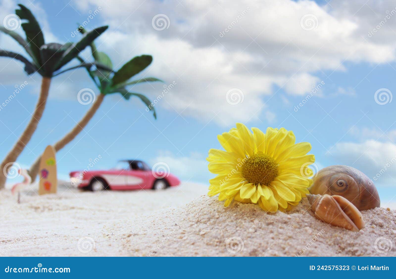 Flower and Sea Shell on Beach with Palm Tree in Background Stock Image ...
