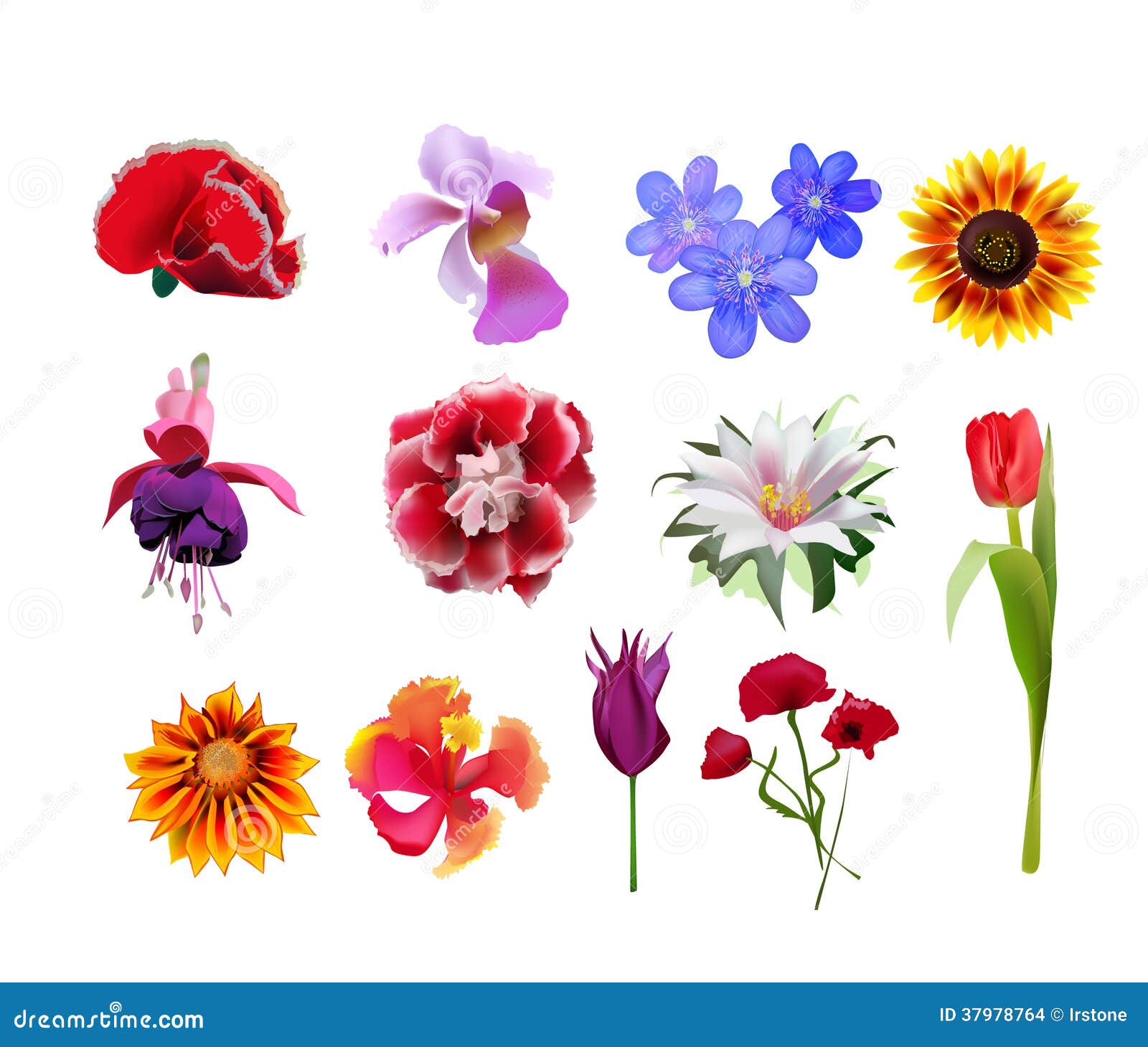 Flower set stock vector. Illustration of blossoming, field - 37978764