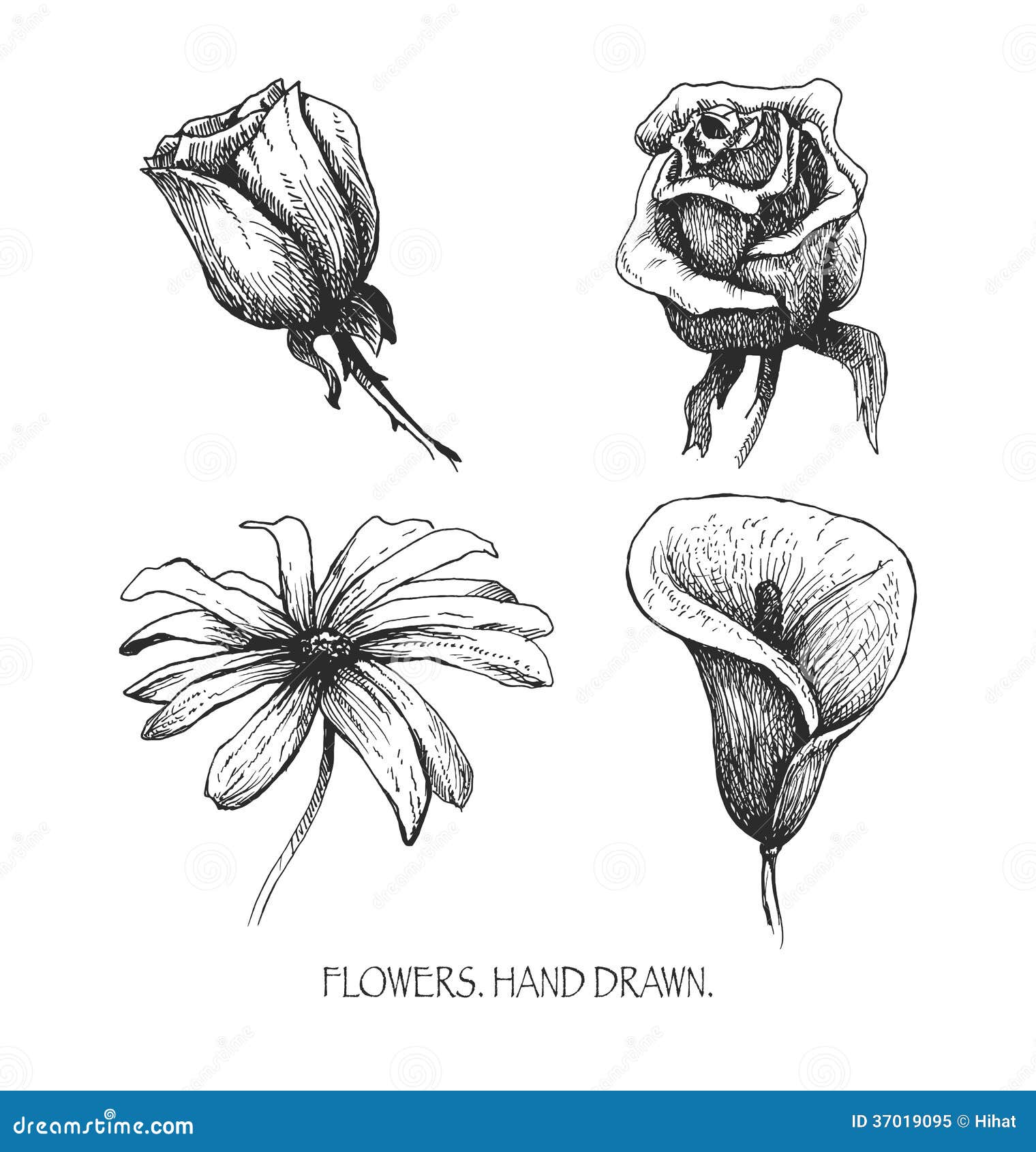 Flower Set: Highly Detailed Hand Drawn Vector. Stock Vector ...