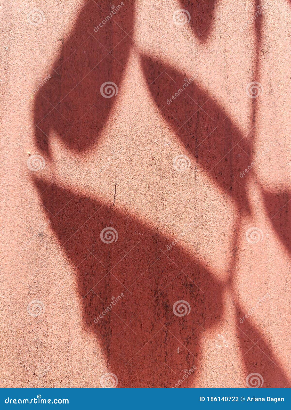 Flower Shadow on Wooden Red Pole Stock Photo - Image of wall, flooring ...