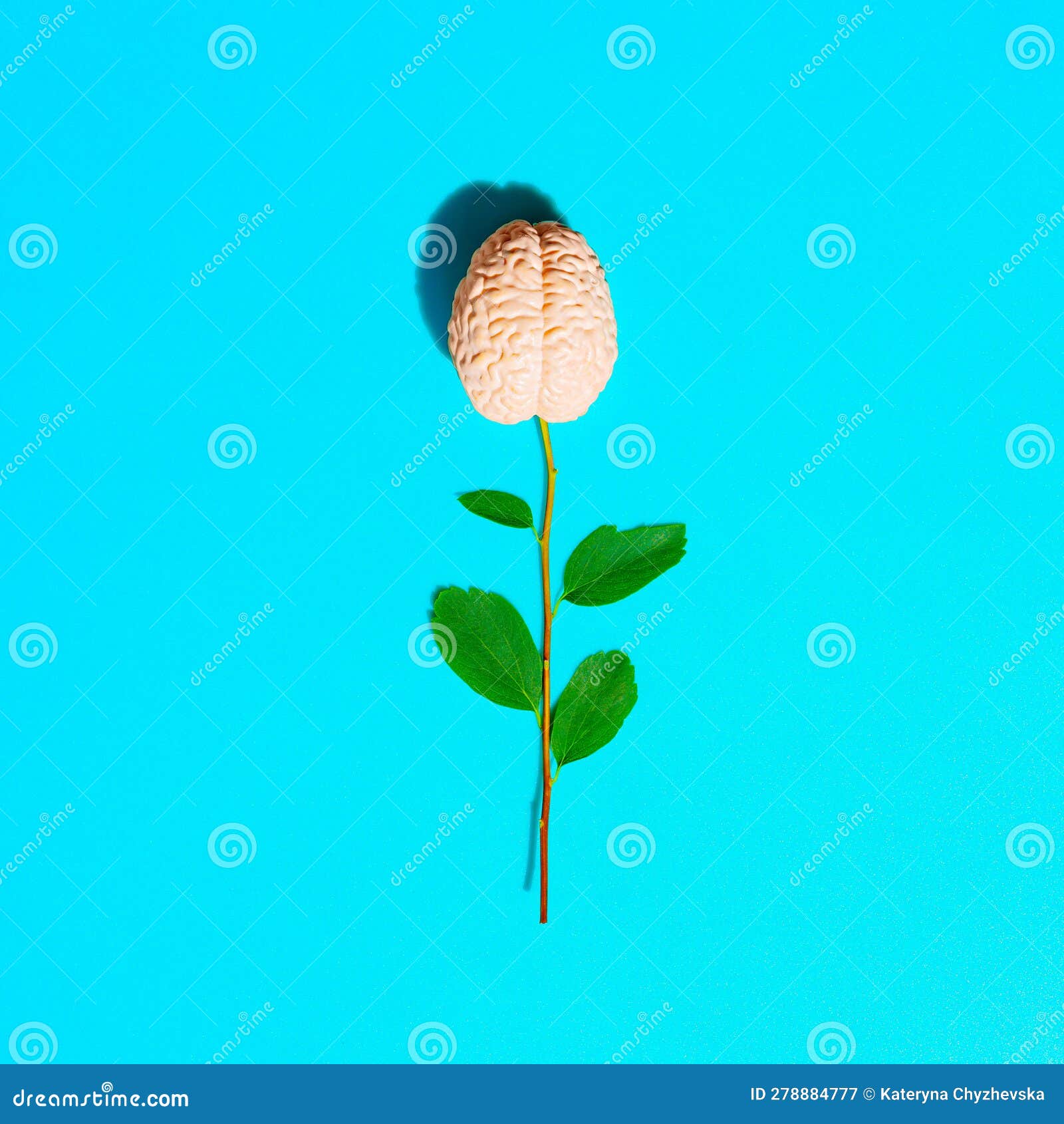 Flower Shape Displaying Human Brain S Creative Potential Stock Image ...