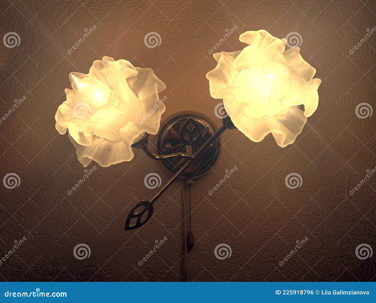 Flower shaped lamp stock photo. Image of modern, classic - 225918796