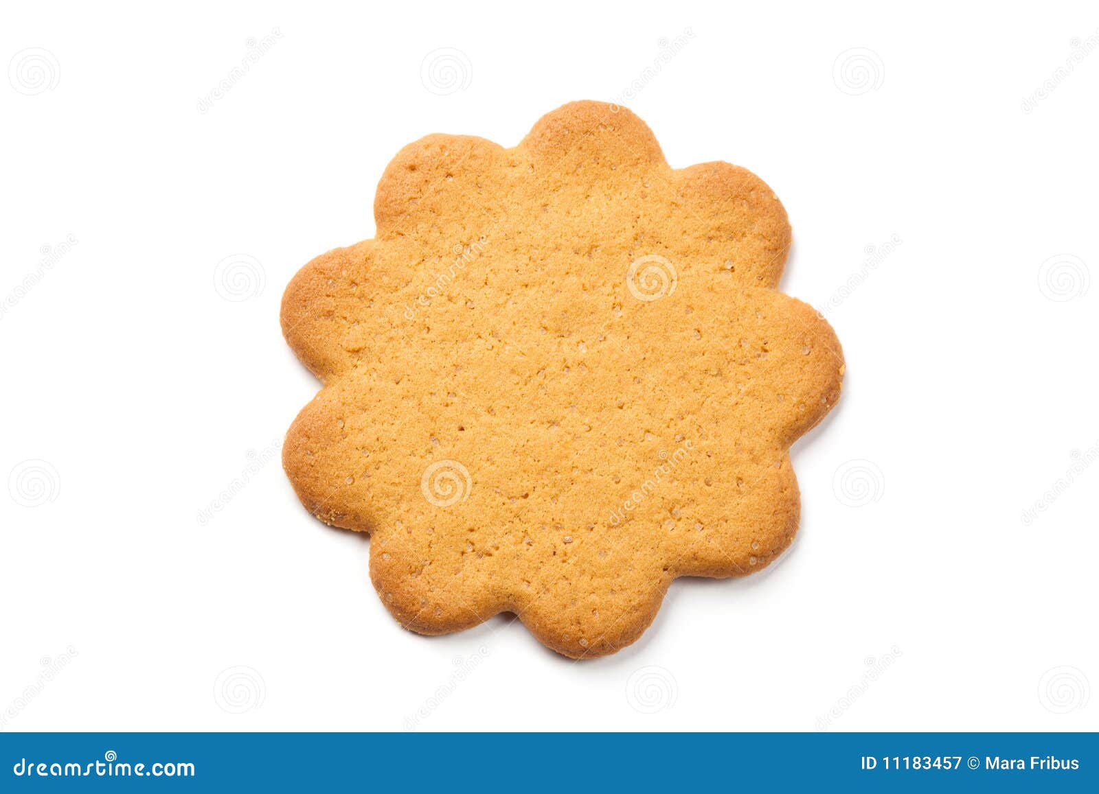 Flower shaped sugar cookie stock image. Image of sweet - 11183457