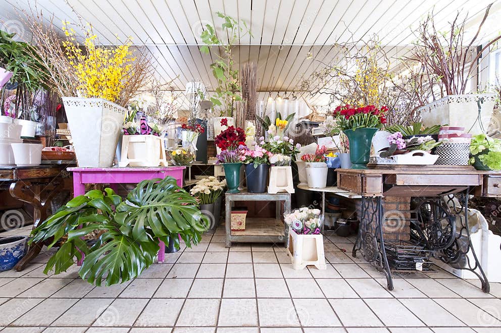 Flower Shop stock photo. Image of florist, shop, array - 13717918