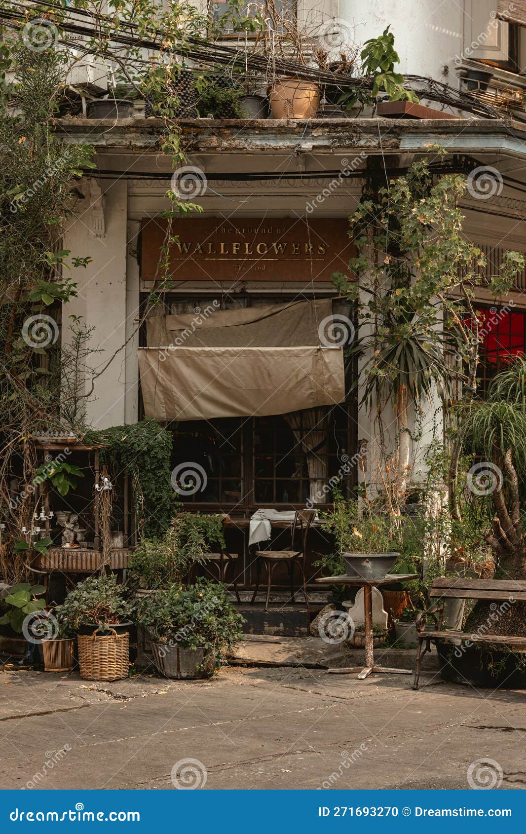 Flower Shop Cafe in China Town Editorial Image - Image of mark, china ...