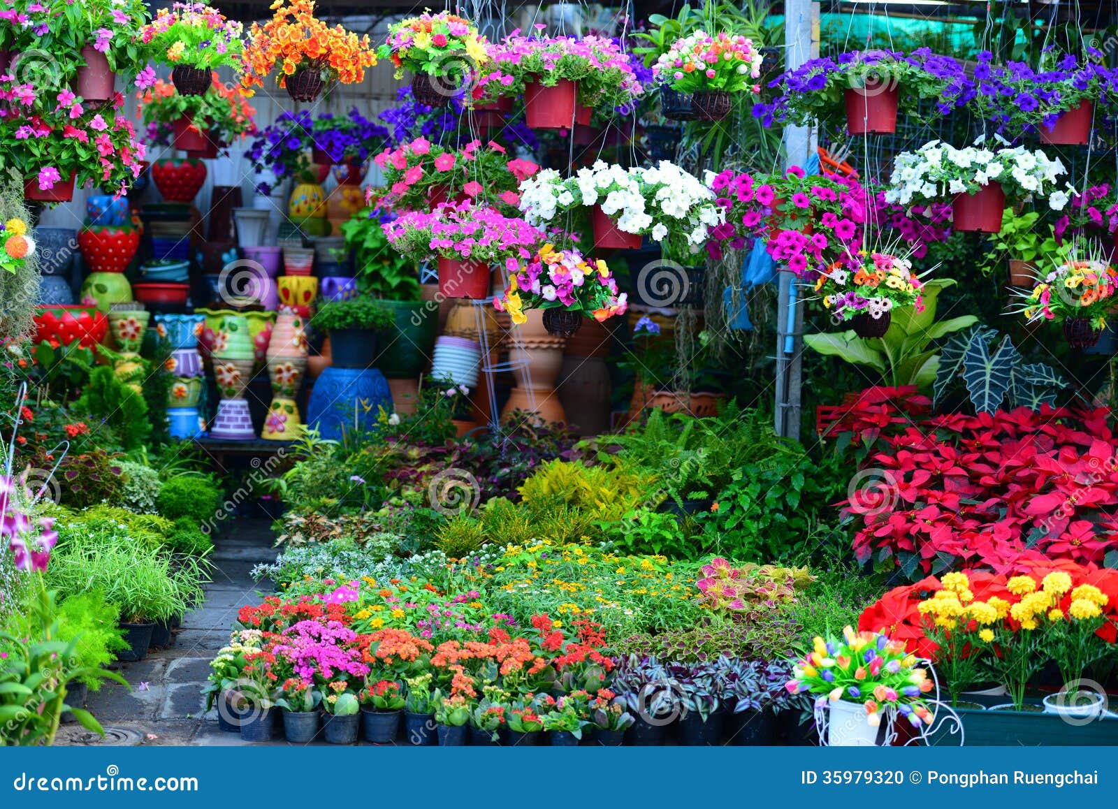 Flower Shop stock photo. Image of shop, plant, scene - 35979320