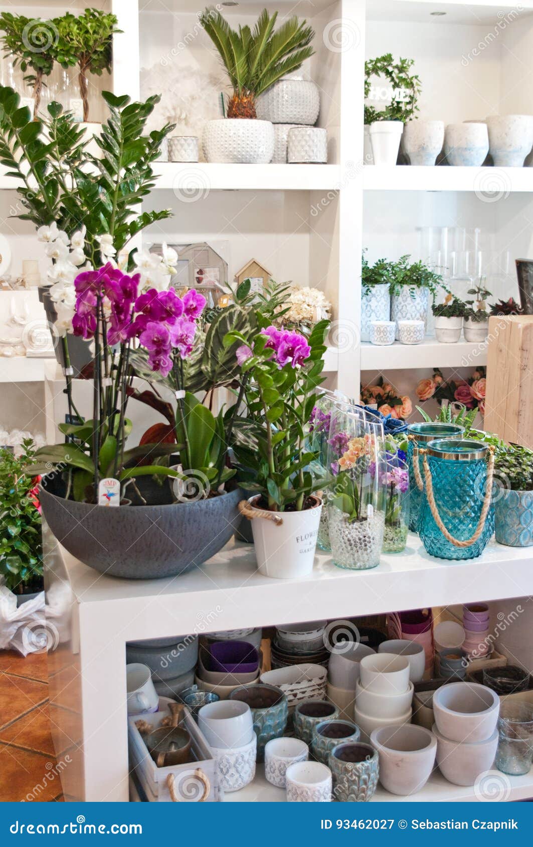 Flower shop interior stock image. Image of flower, decorative - 93462027