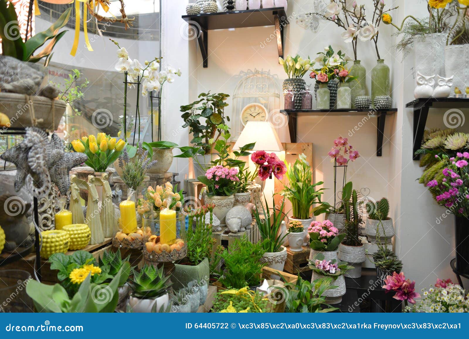 Flower shop stock photo. Image of bouquet, view, garden - 64405722