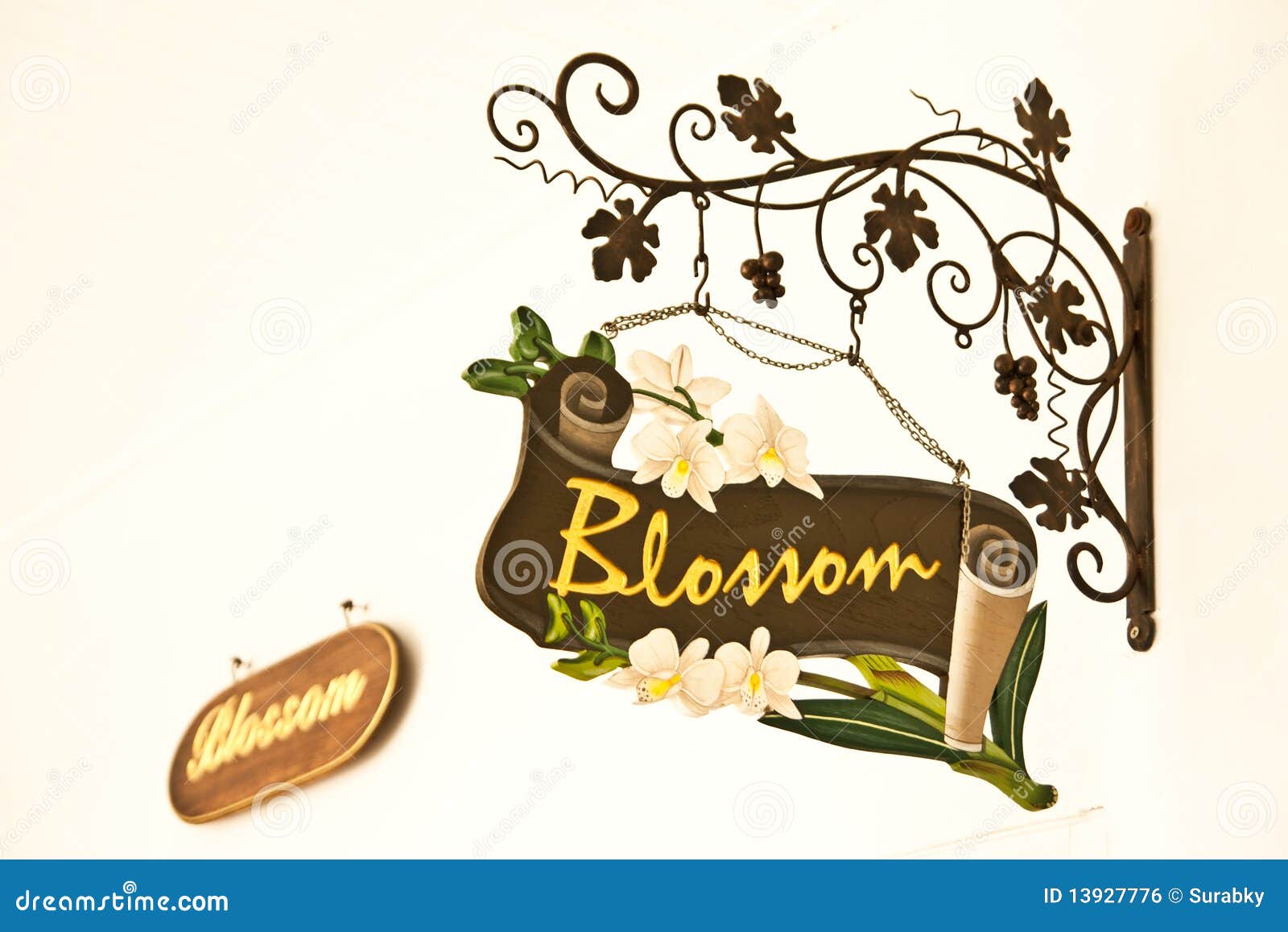 Flower shop sign stock photo. Image of background, sign - 13927776