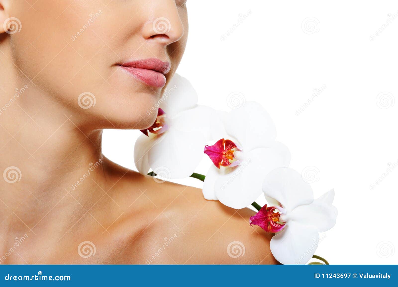 Flower on Shoulder of the Woman with Clean Skin Stock Image - Image of ...
