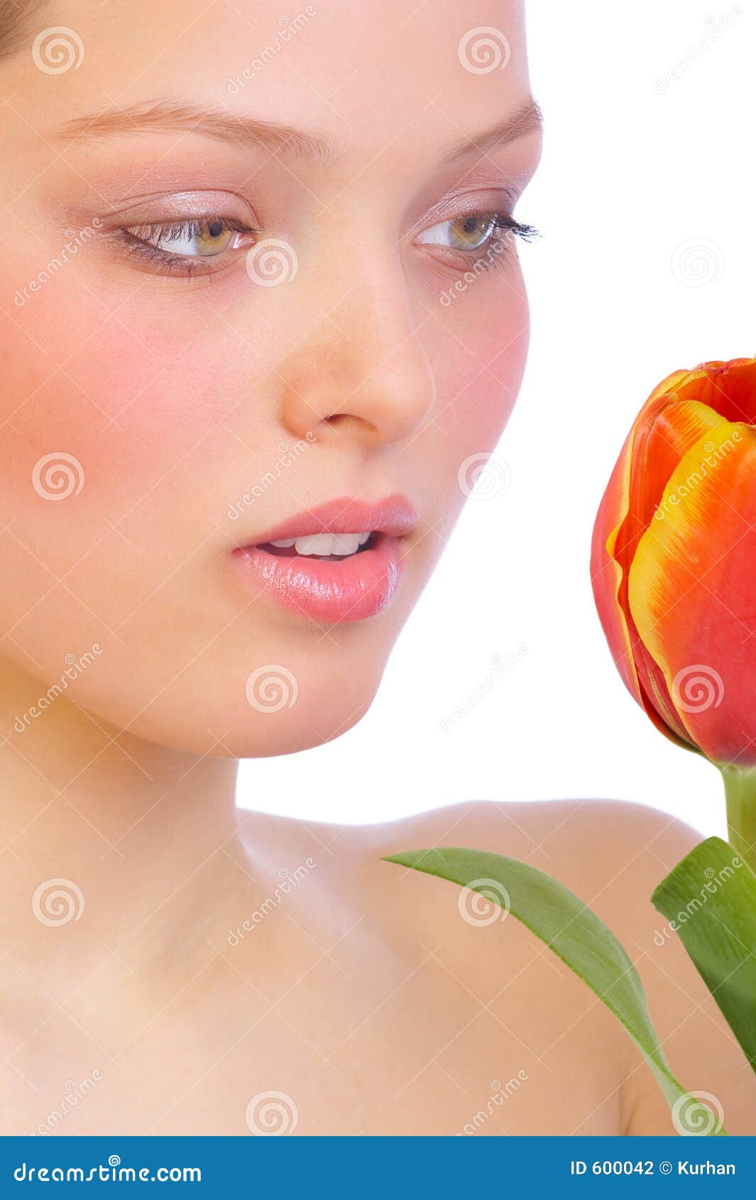 Flower skin. stock photo. Image of evening, green, copyspace - 600042