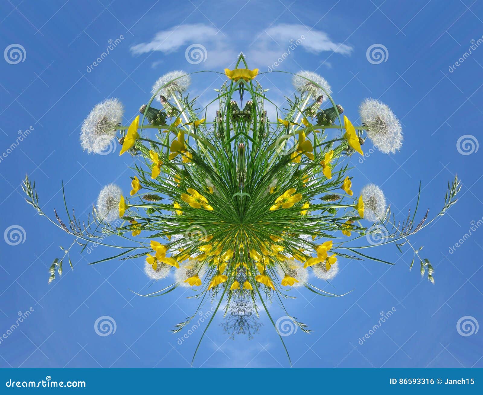 Flower small planet stock illustration. Illustration of field - 86593316