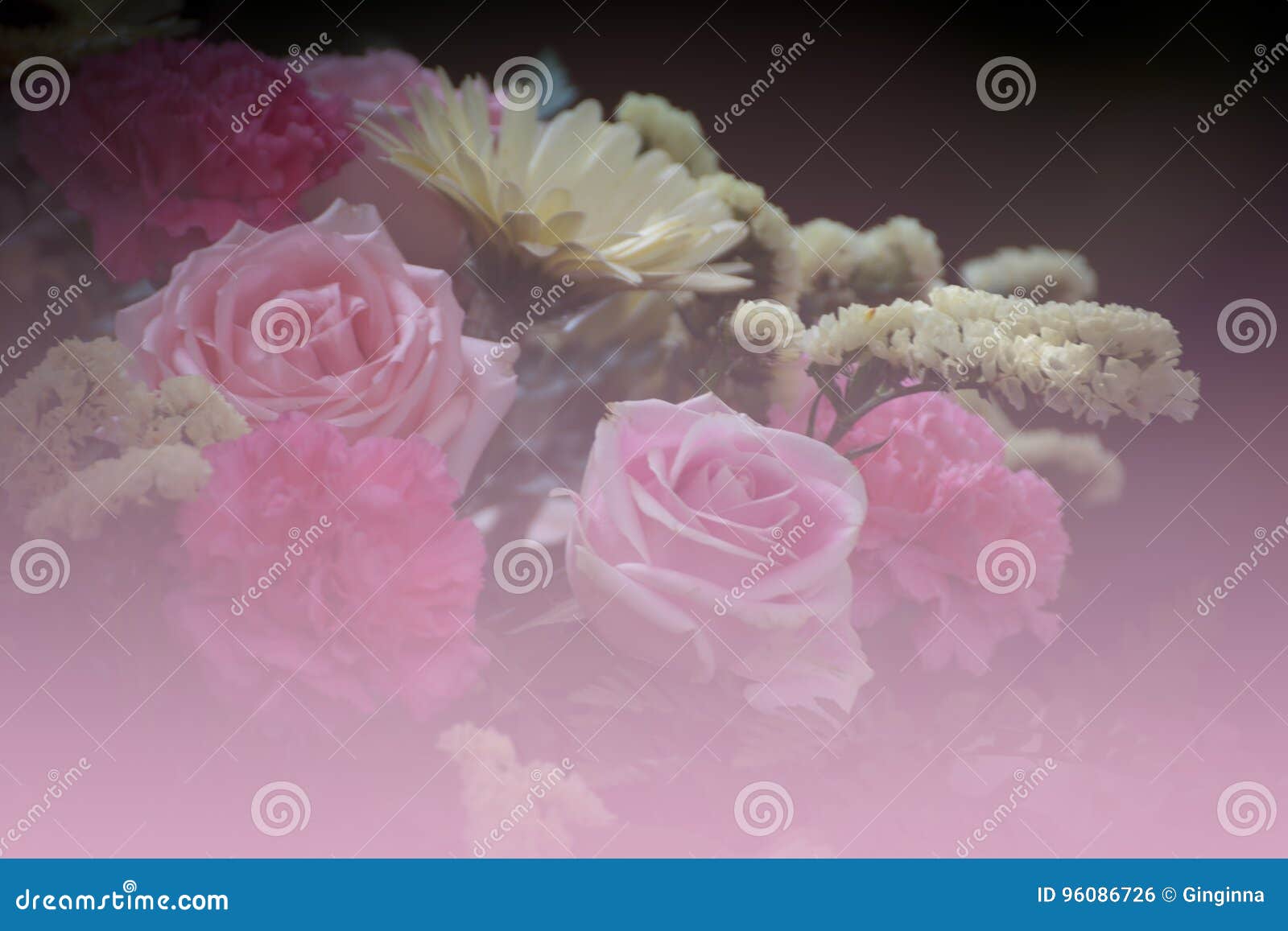 Flower soft focus stock photo. Image of flowers, abstract - 96086726