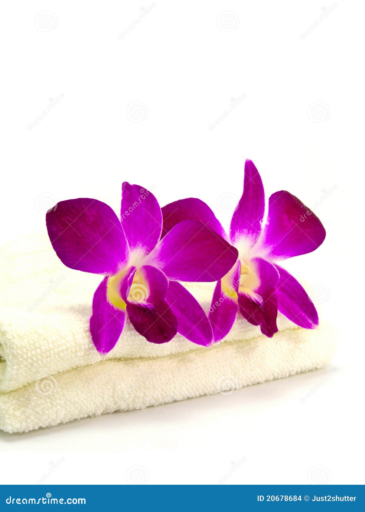 Flower and Spa stock photo. Image of aroma, refresh, female - 20678684