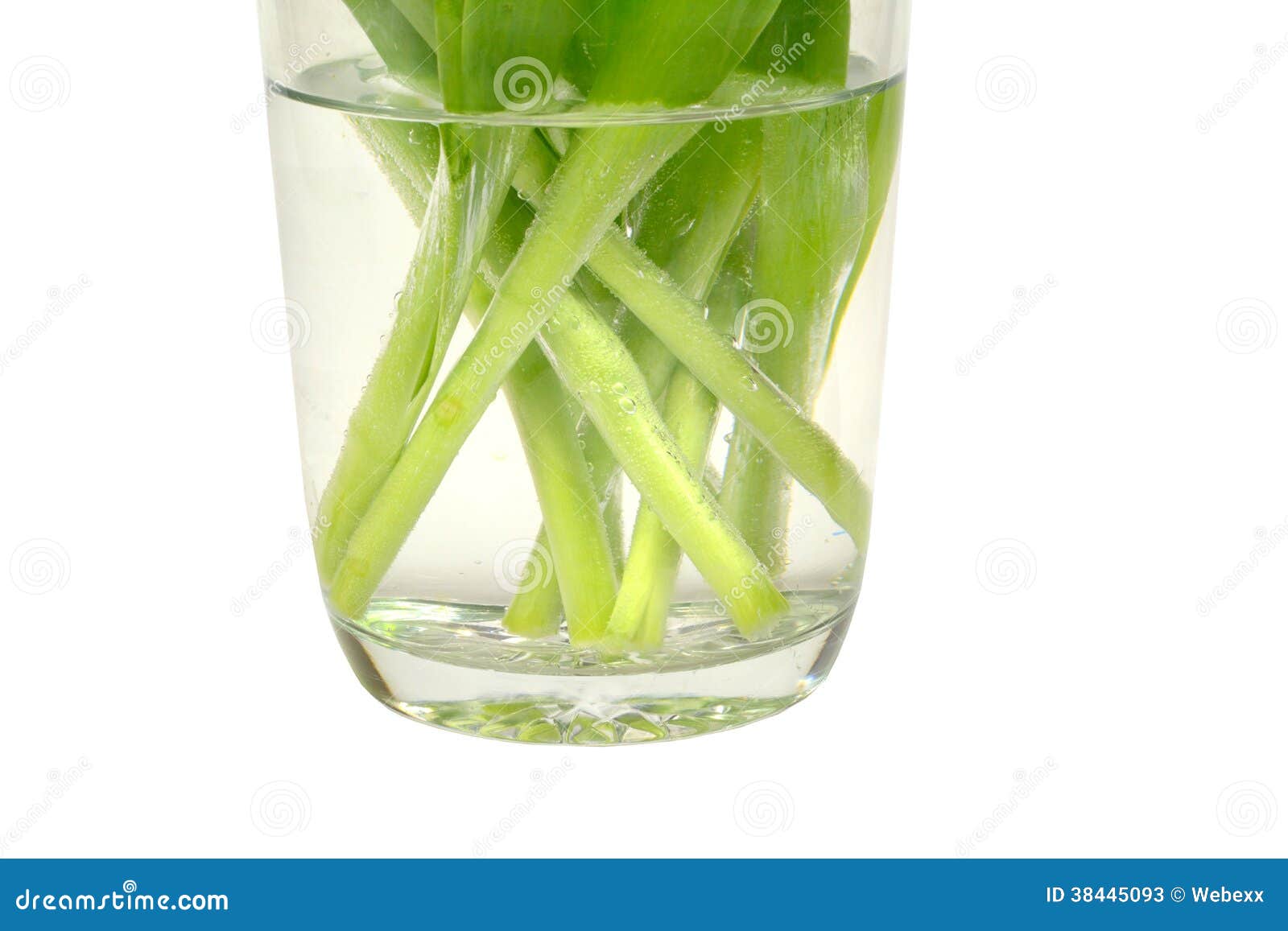 Flower stalks stock image. Image of greeting, stalks - 38445093