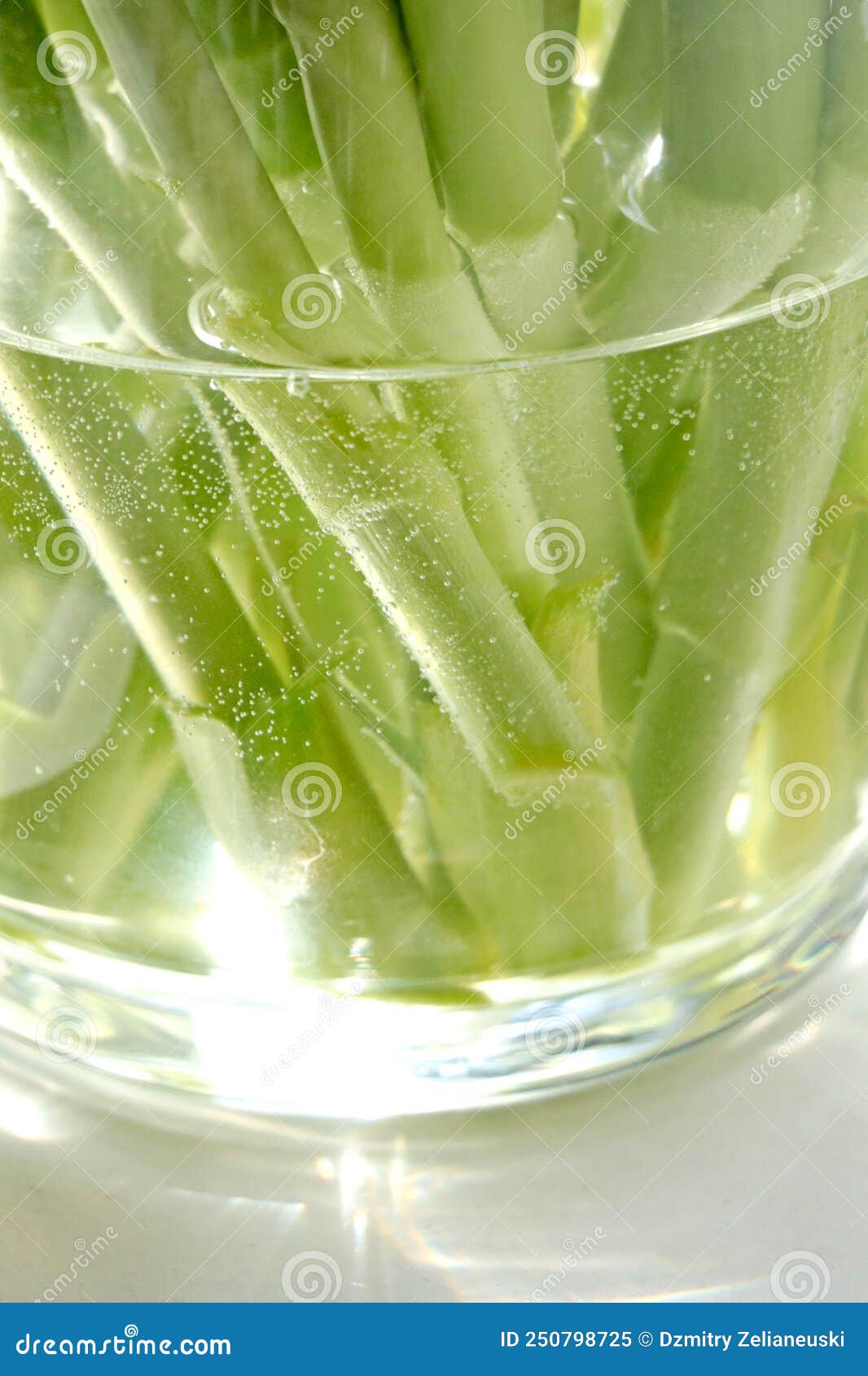 Flower Stalks in a Vase of Water. Posy. Stock Image - Image of natural ...