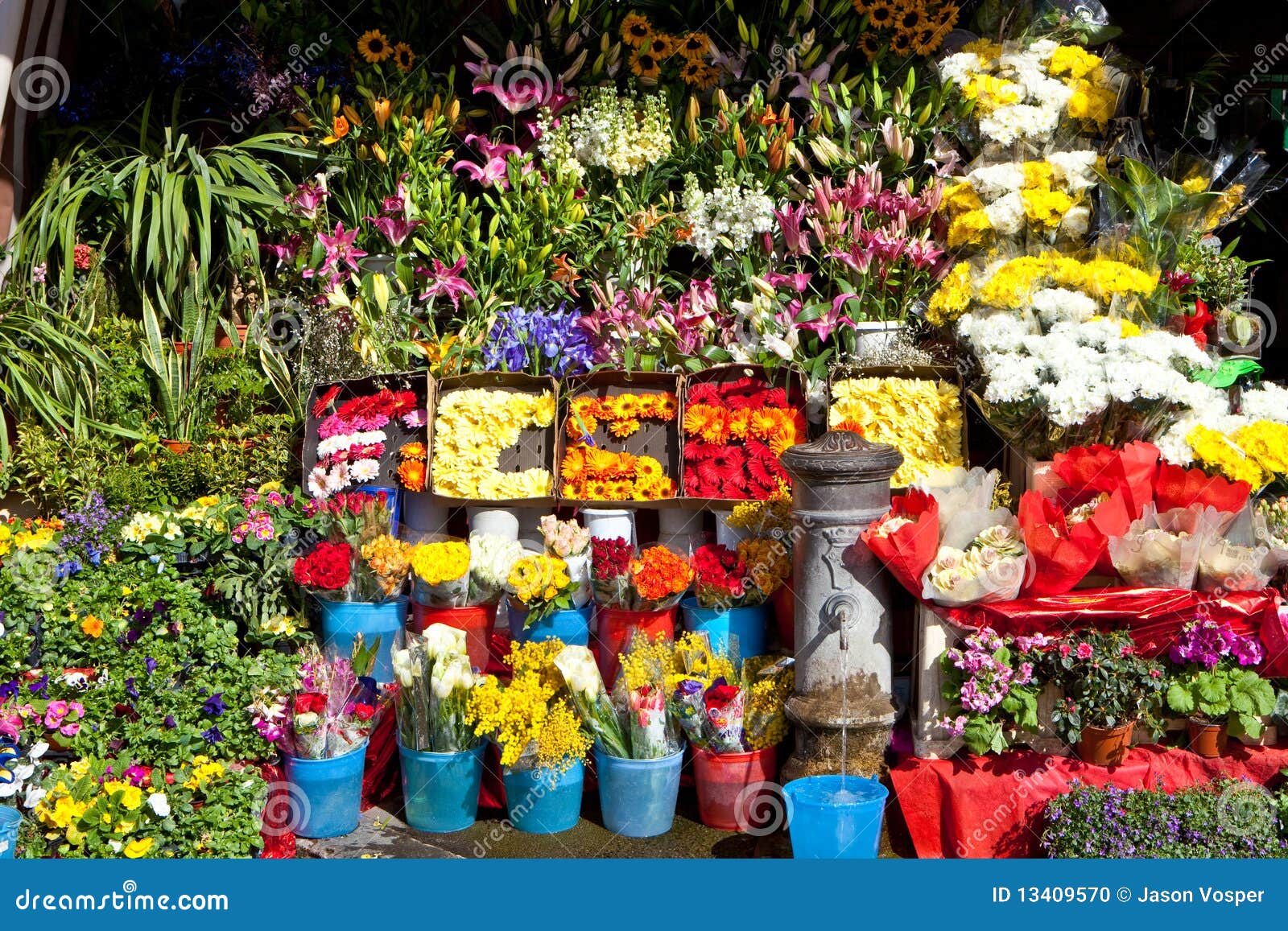 Flower Stall stock photo. Image of beautiful, carnation - 13409570