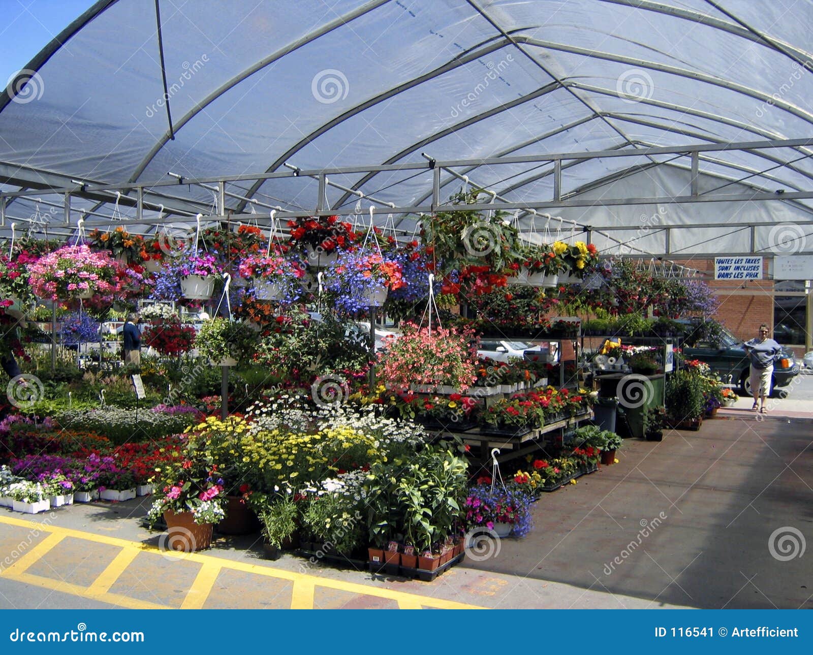 Flower Stall at the Open Summer Market. Stock Image - Image of stand ...