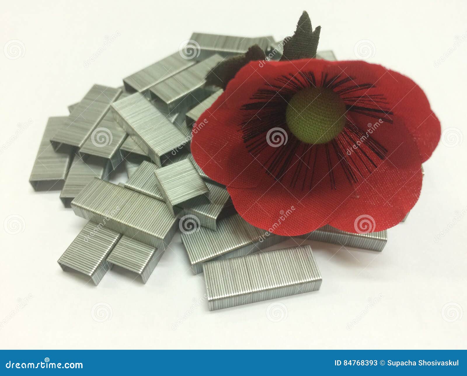 Flower on staples stock image. Image of wire, aluminium - 84768393