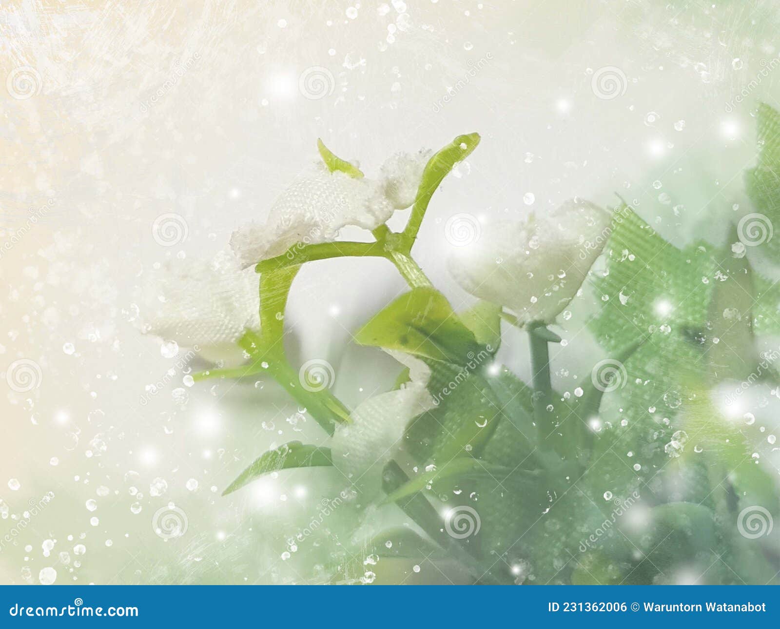 Flower and Stardust Light Background Stock Photo - Image of glass ...