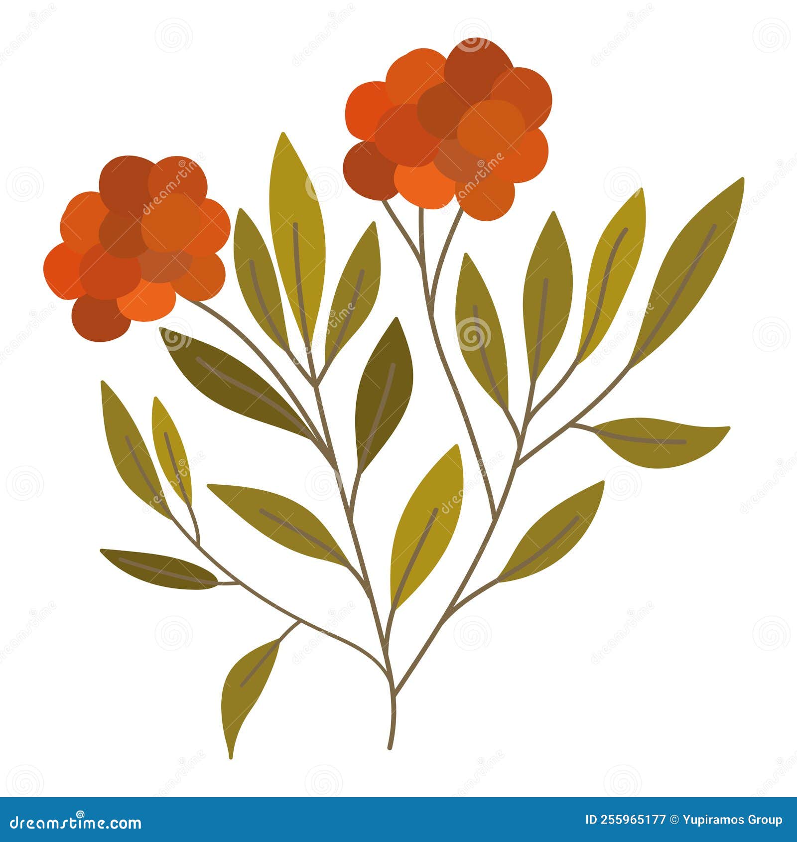 Flower stem leaves stock vector. Illustration of vibrant - 255965177