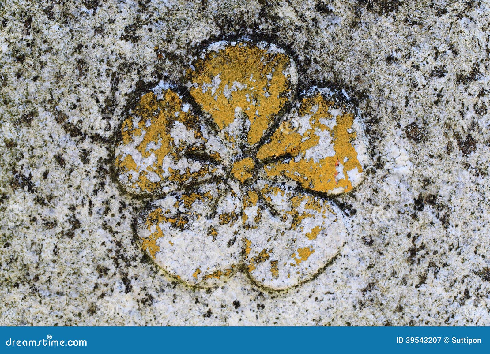 Flower stone stock image. Image of decor, gold, ancient - 39543207