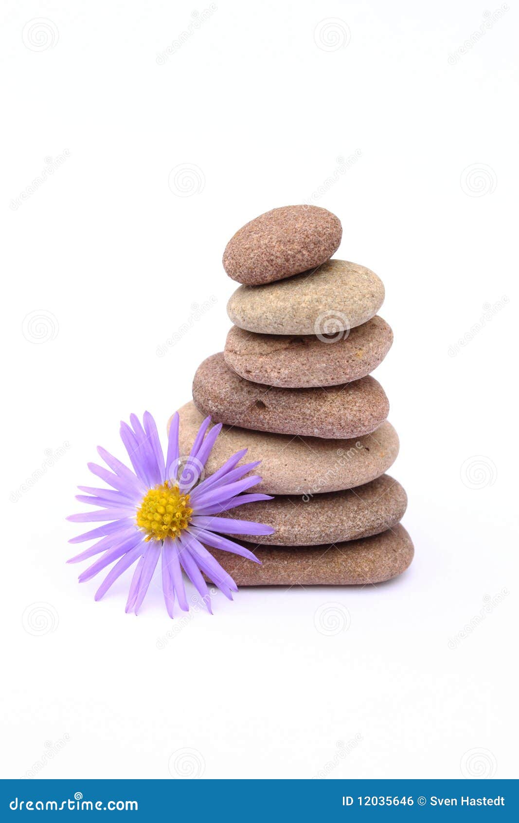 Flower and stones stock photo. Image of simplicity, east - 12035646