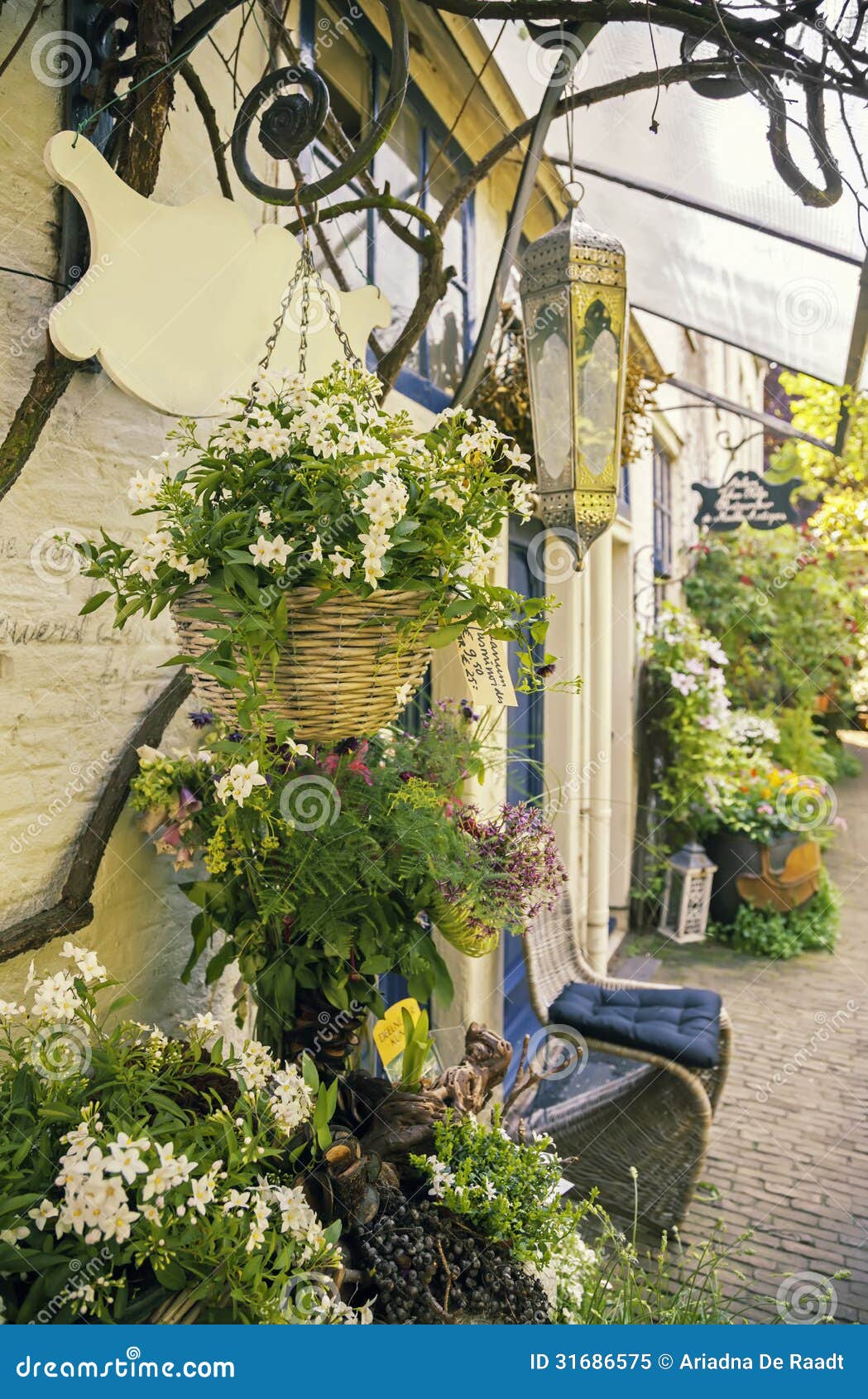 Flower street in town stock image. Image of garden, botany - 31686575