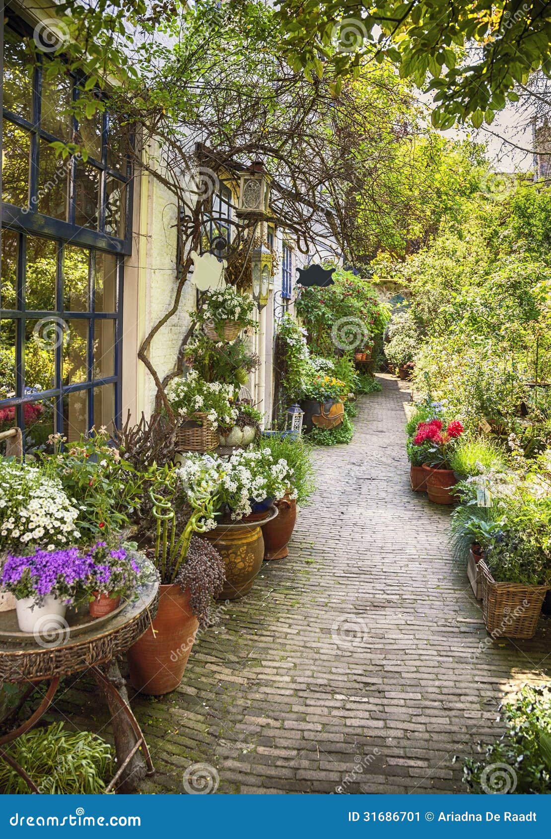 Flower street in town stock image. Image of floral, backyard - 31686701