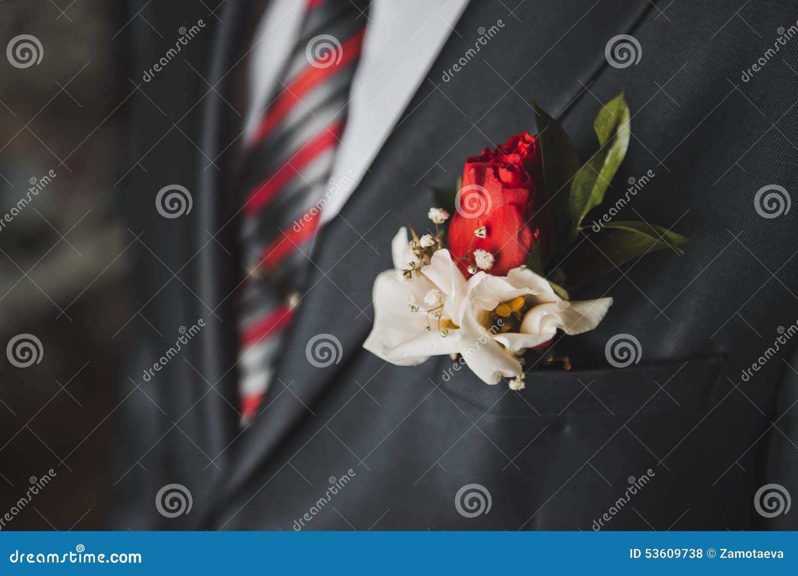 Flower in a Suit Pocket 2482. Stock Photo - Image of carnation, person ...