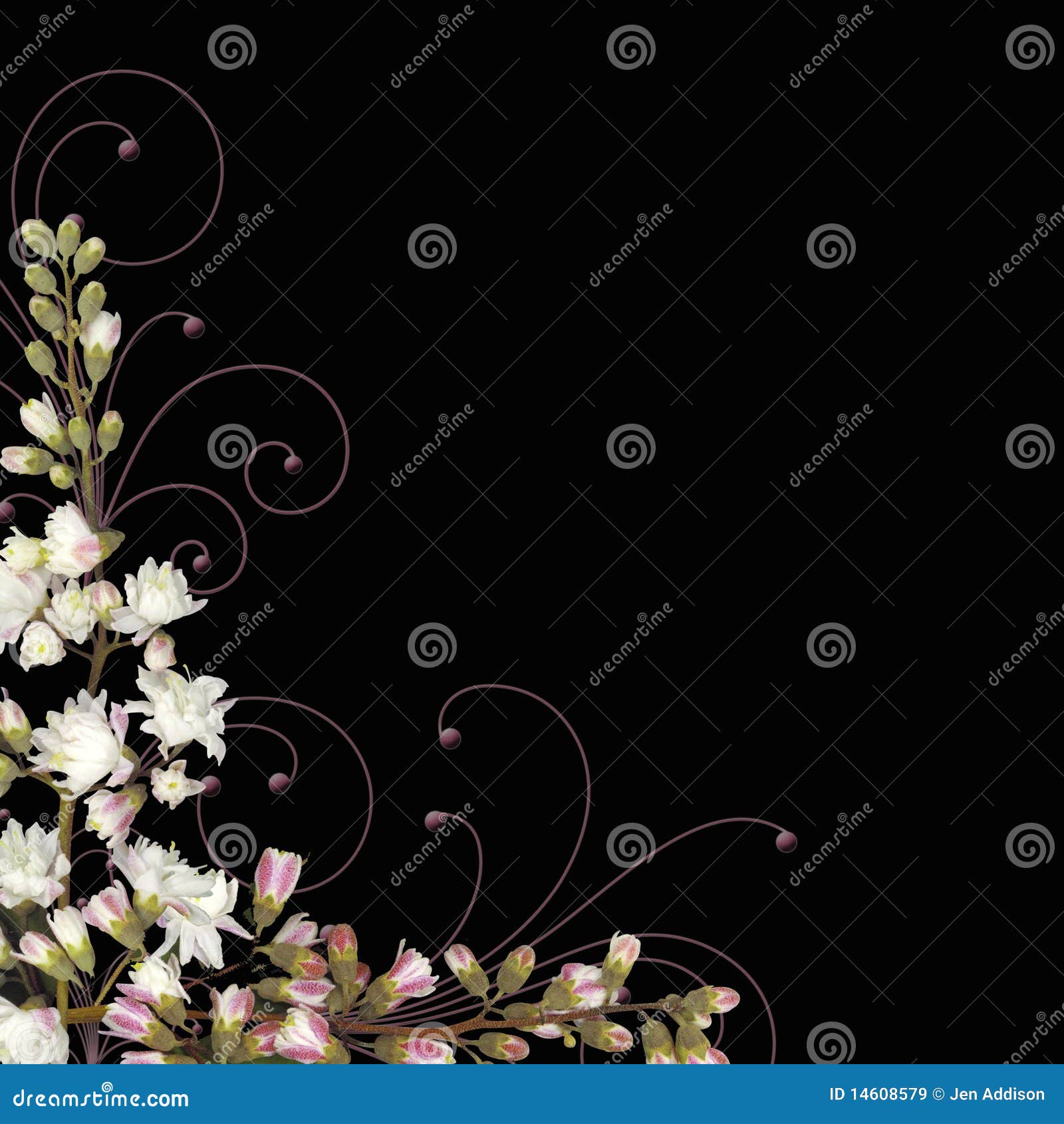 Swirls Border Frame With Flower Silhouettes Stock Photography ...